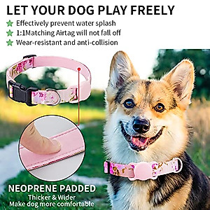 AirTag Cat Collar, Animire Soft Neoprene Padded Air Tag Collar for Extra Small Dogs, Polyester Puppy Pet Collar with Silicone AirTag Case Holder Accessories, 8"-12" Neck