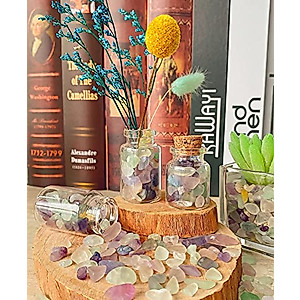 Fluorite Crystals Polished Gravel Aquarium Tumbled Stones Chips Stone Crushed Crystal Quartz Pieces Irregular Gem Rocks Home Decoration Tank Succulent Plants Vase Filler Bottom Ornament 0.55lbs