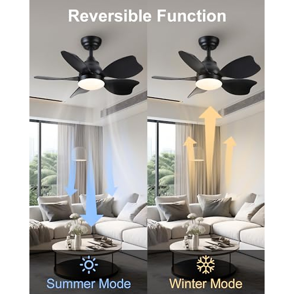 Newday 30" Ceiling Fan with Light and Remote, Small Ceiling Fans with Lights, 5 Reversible Blades 3 Colors Dimmable 6 Speed Ceiling Fan for Bedroom Kitchen Dining Room, Black Ceiling Fan with Light