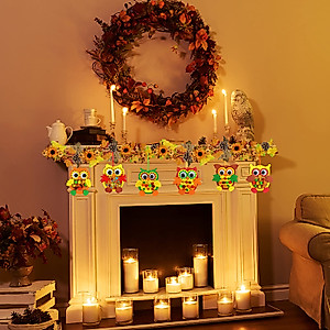 Winlyn 24 Sets Foam Owl Decorations DIY Owl Fall Craft Kit Assorted Foam Owl Shapes with Autumn Leaves Pumpkins Googly Eyes Pom-Poms for Kids Gift Halloween Thanksgiving Holiday Classroom Art Activity