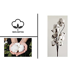 Baby Blank Receiving Blanket, 100% Cotton Fabric for 1-Pack _ Black (30 x 40 Inches / 100% Cotton Interlock)