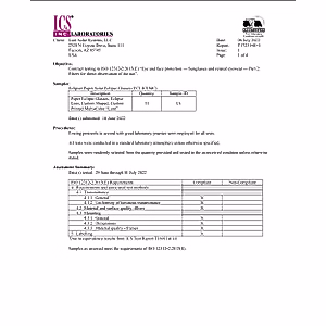 Lunt Solar Systems 50-Pack Premium Solar Eclipse Glasses ISO Certified Eclipse Glasses 2024 for Direct Sun Viewing -Approved 2024 Solar Eclipse Glasses
