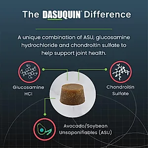 Nutramax Dasuquin Joint Health Supplement for Large Senior Dogs – for Immune Support, Skin & Coat Health, and Brain Health, 84 Soft Chews