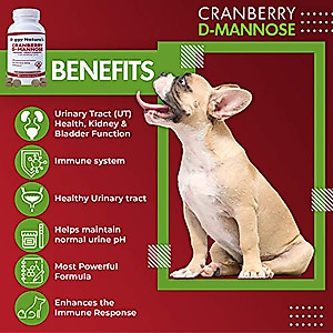 Cranberry D-Mannose for Dogs and Cats Urinary Tract Infection Support Prevents and Eliminates UTI, Bladder Infection Kidney Support, Antioxidant (Single Strength Tablet, 60 Count)