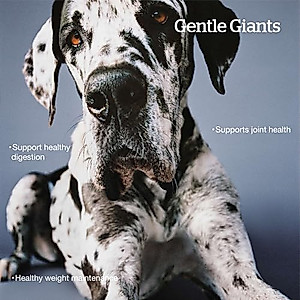 Now Fresh Grain-Free, Dry Dog Food, Real Meat and Fish, Turkey, Salmon and Duck Large Breed Adult Recipe, 12 lb Bag