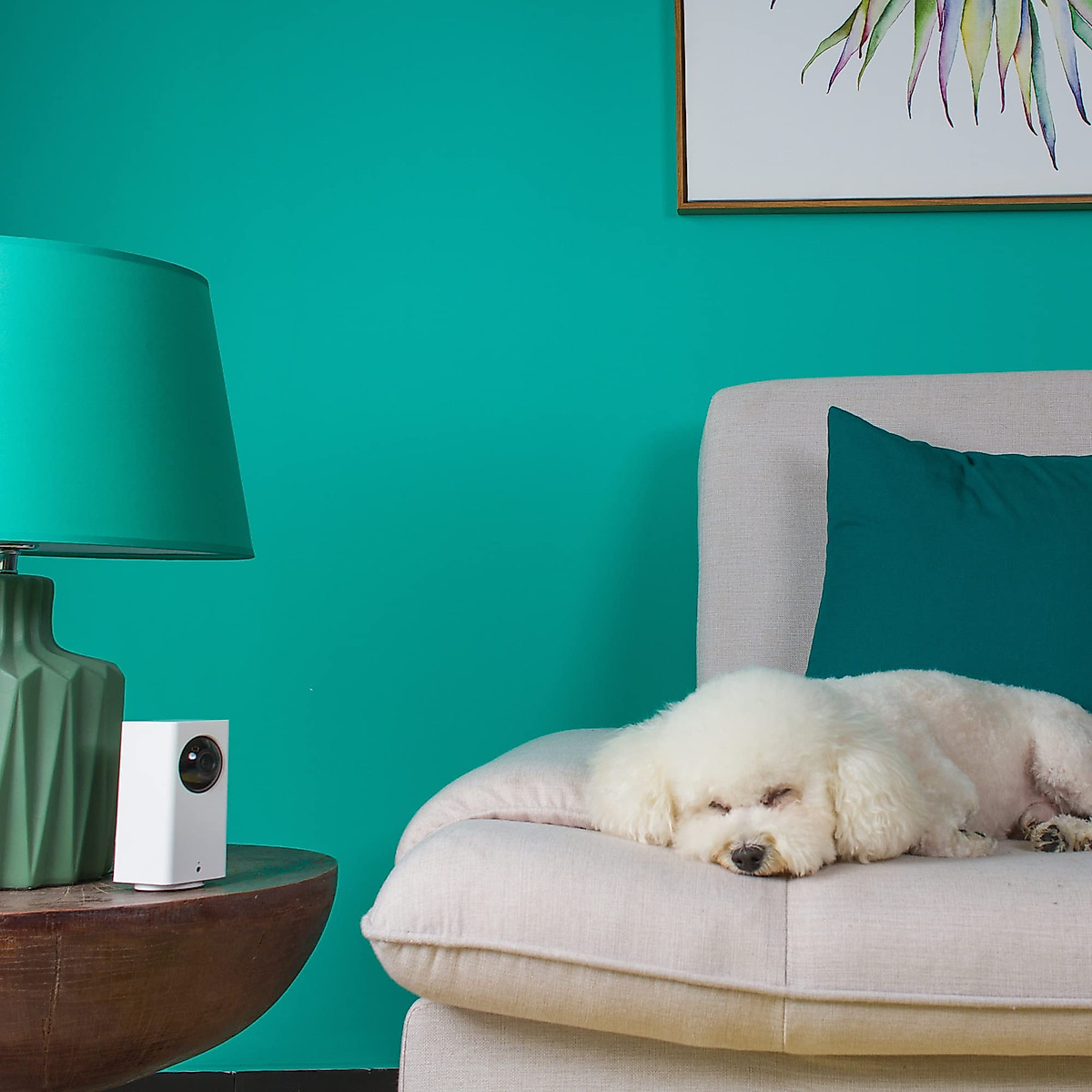 WYZE Cam Pan 1080p Pan/Tilt/Zoom Indoor Pet Monitoring Camera for Dogs & Cats Baby Monitor with WYZE 32GB MicroSD Card Class 10