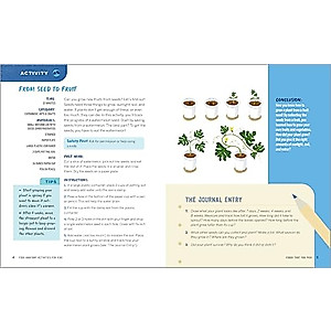 Food Anatomy Activities for Kids: Fun, Hands-On Learning