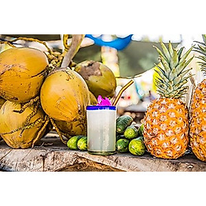 Hummingbird Glass Straws 9 inches x 9.5mm Bent Havana Heat 4 pack of Teal, Ocean Blue, Lime, and Mango - Made With Pride in USA