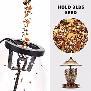 REALEAD Bird Feeder, Wild Bird Feeders for Outside,Metal and Glass Bird Feeder with 3 lbs Seed Capacity, Bird Feeders for Outdoor Hanging for Garden Yard
