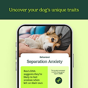 AncestryDNA Know Your Pet DNA: Dog DNA Breed Identification Test, Genetic Traits, DNA Matches, Dog DNA Test, Dog Breed DNA kit, Easy-to-Use Pet DNA Test
