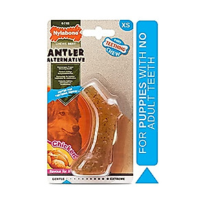 Nylabone Puppy Chew Gentle Chewing Puppy Antler Alternative Chicken Flavored Dog Chew Toy, Petite