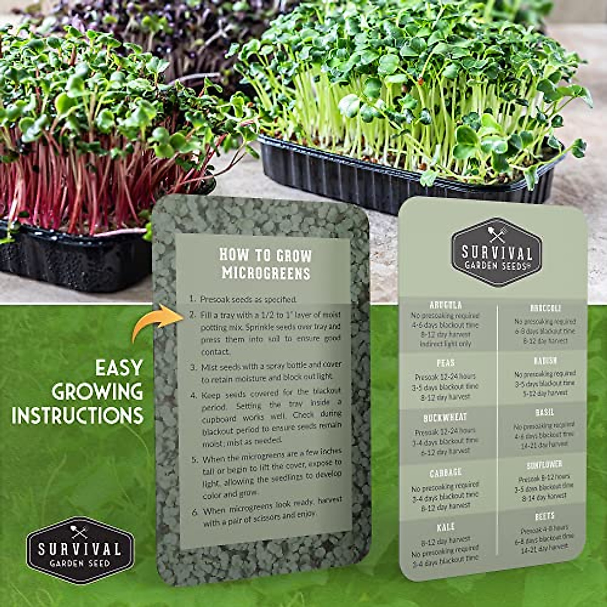 Survival Garden Seeds Microgreens 10 Pack - Instructions to Plant, Sprout, and Grow a Mix of Microgreen Plants - Arugula, Broccoli, Radish, Pea, Sunflower, Basil, Cabbage, Buckwheat, Kale, Beet Seed