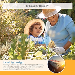 Suncast Vista 7x7 Storage Shed with Multi-Wall Resin Panels, 4 Skylights, IllumiVent System, and Pad-Lockable Doors, 84" D x 84" W x 98" H