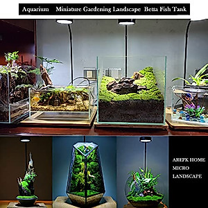 AREPK Aquarium Light Full Spectrum LED, for Under 3 Gallon Fish Tank, Light with Timer Auto On/Off, Betta Fish Tank,Indoor Plant Growth, Potted Plants, Succulent, Miniature Gardening Landscape (5)
