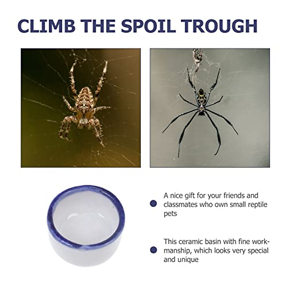 Ipetboom 12pcs Reptile Food Dish Bowl, Worm Dish Ceramic Pet Bowls Terrarium Bowls Reptile Water Sink for Leopard Gecko Bearded Dragon Tank Accessories, 2x2x1cm