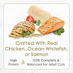 Purina Fancy Feast Gourmet Wet Cat Food Variety Pack, Petites Gravy Collection, Break-apart tubs, 48 Servings - (24) 2.8 oz. Tubs