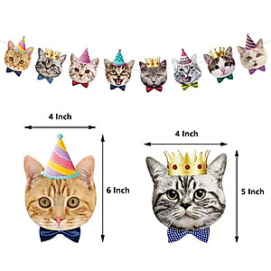 TSJ Cat Birthday Banner, Cat Face Party Banner, Kitty Cat Theme Party Bunting Decoration for Cat Adoption Birthday Party Favors