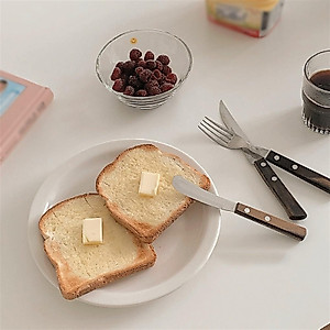 EERINESS Dinner Plates Set Fruit Tray Dessert Plate Plain White Dinner Plate Restaurant Kitchen Regular Dinner Plate Compact Disc Coffee Shop Dessert Flat Plate Kitchen Salad Bowl (Color : Large)