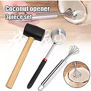 UnisonPet Coconut Opener Tool Set, Stainless Steel Coconut Opener Kit with Rubber Mallet Meat Removal Scraper, Coconut Drill Young & Mature Coconut Opening Tool