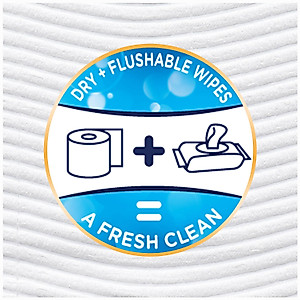 Cottonelle FreshCare Flushable Wipes Refill, 252 Flushable Wet Wipes (Packaging May Vary)