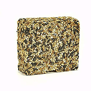 Kaytee Wild Bird Seed & Mealworm Seed Cake Food For Bluebirds, Chickadees, Woodpeckers and More, 1.4 Pound