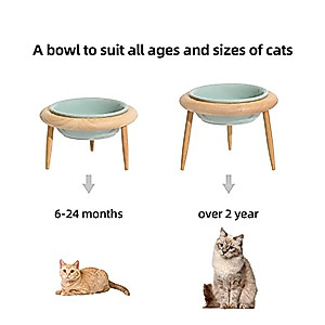 Havniva Ceramics Cat Bowl Adjustable Cat Food Bowl Kitty Bowl Raised Tilted Cat Bowl Cat Water Bowl Pet Supplies Slanted Elevated Cat Bowl (600ml, Light Green)