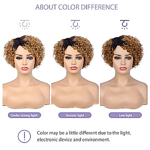 Quantum Love Human Hair Wigs Curly Wave Side Part Wig Short Bob Pixie Cut Brazilian Remy Human Hair Deep Curly None Lace Front Wigs for Women Ombre Black Brown Color