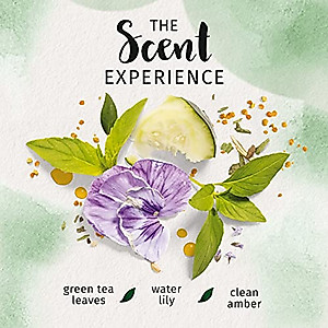 Herbal Essences Cucumber and Green Tea Conditioner, 13.5 oz