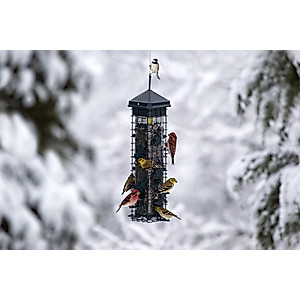 Squirrel Solution200 Squirrel-proof Bird Feeder w/6 Feeding Ports, 3.4-pound Seed Capacity, Free Seed Funnel