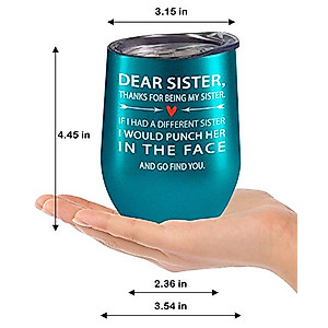 Fancyfams Sisters Gifts from Sister 12oz Tumbler, Birthday Gifts for Sister, Gifts for Sister from Brother - (Find You Sister - Turquoise)