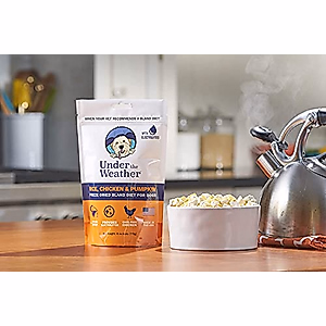 Under the Weather Bland Diet for Dogs | Easy to Digest for Sick Dogs |Always Be Ready | Contains Electrolytes - All Natural Freeze Dried 100% Human Grade Meats | 2 Pack - Rice, Chicken & Pumpkin - 6oz