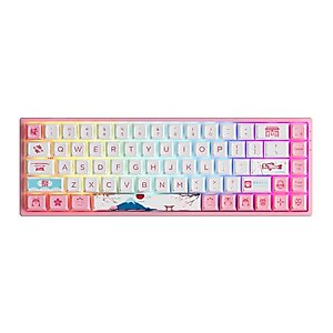 Akko 3068B Plus World Tour Tokyo R2 65% Percent 68-Key RGB Hot-swappable Mechanical Gaming Pink Keyboard, 2.4G Wireless/Bluetooth/Wired with PBT Dye-Sub Keycaps for Mac & Win Switch Jelly Pink