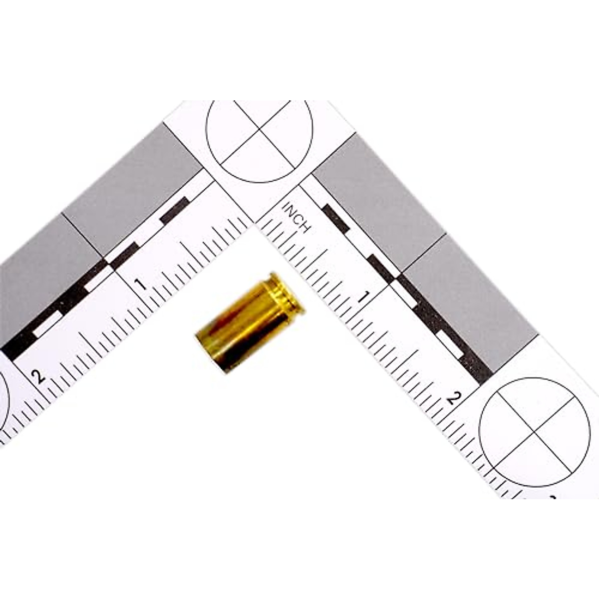 No. 2 Photomacrographic Scale (Inches)