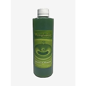Live Marine Phytoplankton - 8oz Bottle