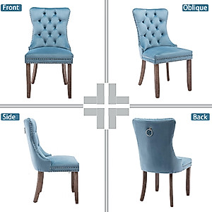 Rhomtree Set of 6 Velvet Fabric Dining Chairs Luxury Tufted Back with Nailed Trim and Back Ring Pull Home Kitchen Dining Room Chairs Armless Side Chairs Solid Rubber Wood Legs (Light Blue)