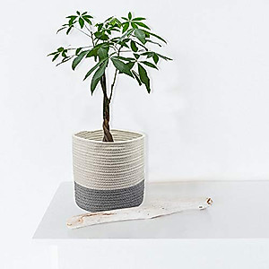 Finderomend 2-Pack Cotton Rope Plant Baskets Cotton Rope Woven Plant Basket for Indoor Plants | Neutral Round Cube Organizer Baskets Bin for Crafts, Toys, Towels and More (12"x12" and 10"x10")