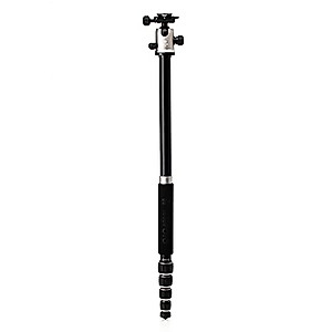 Benro MeFOTO Globetrotter Travel Tripod, Ballhead and Monopod in Titanium, 2 Series Aluminum Legs, 4 Leg Sections, Twist Leg Locks, Padded Carrying Case (BMGTATTN)