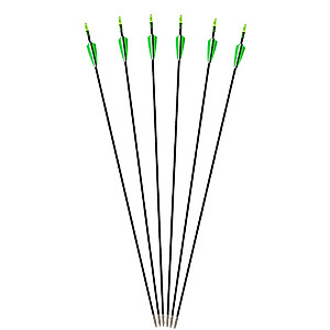 NC93 31Inch Archery Target Practice Arrows Fiberglass Arrows for Youth Children Beginner Recurve Bow Traditional Bow Shooting (6pcs) (Green)