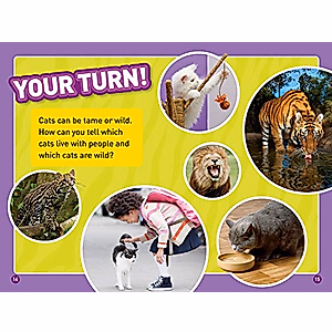 Cats (National Geographic Kids Readers, Level 1/Co-Reader)