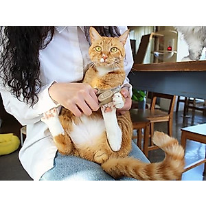 Walkinnwith LOOKUT Cat Nail Trimmers with Quick-Finder - Patent Designed Cat Claw Clippers - Cat Nail Clippers with Posco Steel Blades - Safe and Easy Cuts for Cats Claw Unas Garras de Gato