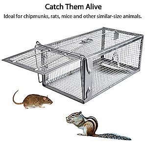 Gingbau Live Chipmunk Trap Humane Rat Mouse Cage Trap