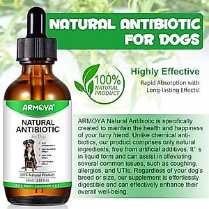 Natural Antibiotics for Dogs - Dog Antibiotics - Antibiotics for Dogs - Pet Antibiotics - Natural Antibiotics for Dogs - Organic Ingredients - Dog Multivitamin 60ml
