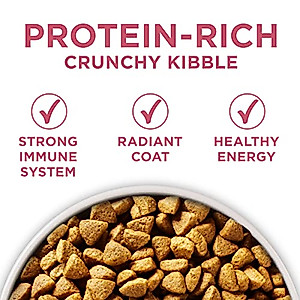 Purina ONE Natural, Sensitive Stomach Dry Dog Food, +Plus Skin & Coat Formula - 31.1 lb. Bag