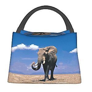 Elephant Lunch Box Picnic Bags Animal Tote Insulated Portable Elephant Decor Container Meal Bag