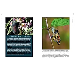 100 Plants to Feed the Monarch: Create a Healthy Habitat to Sustain North America's Most Beloved Butterfly