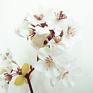 Yinhua 39 Inch Artificial Cherry Blossom Branches Flowers Stems Silk Tall Fake Flower Arrangements for Home Wedding (Cherry Blossom, Pack of 3)