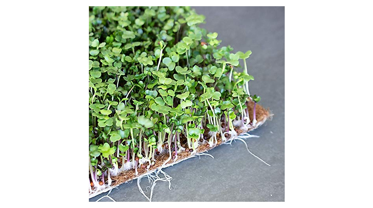Pro Microgreens Grow Mats - Natural 10x20 Inches for Hydroponics