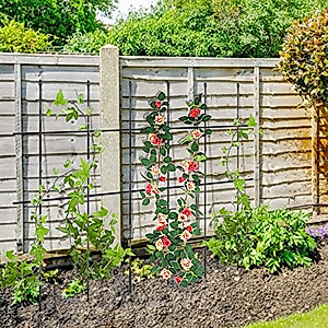 2 Pack Garden Trellis, 2 in 1 Plant Cages & Supports for Vines Crop, Plant Trellis for Climbing Plants Indoor Outdoor, Plant Stake for Flower, Vegetable, Tomato,Vines, Pot Trellis for Potted Plants