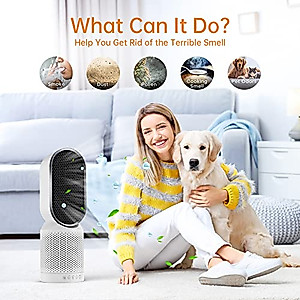 HEPA Air Purifiers for Bedroom, QUEENTY Room Air Purifier Ionizer with H13 True HEPA Filter, 40° Rotation Air Purifiers for Pets, Home, Remove 99.97% Dust Smoke Pollen Pet Dander (White)