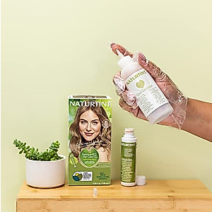 Naturtint Permanent Hair Color 8N Wheat Germ Blonde (Pack of 6), Ammonia Free, Vegan, Cruelty Free, up to 100% Gray Coverage, Long Lasting Results